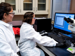 Pharma development - DPT Laboratories CDMO Services